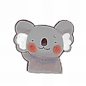 叫我皮皮子 