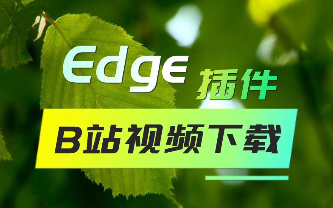 【PC】Edge 浏览器插件推荐 - B站视频下载