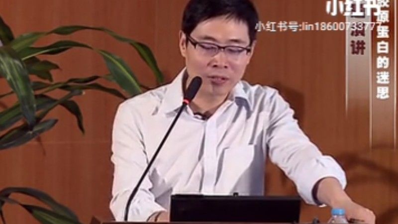 胶原蛋白肽的抗氧化、减少紫外线损伤的作用