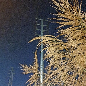 渲染的季末 