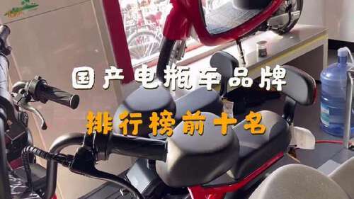 十大国产电动车品牌实力对决:谁才是真正的性价比之王?