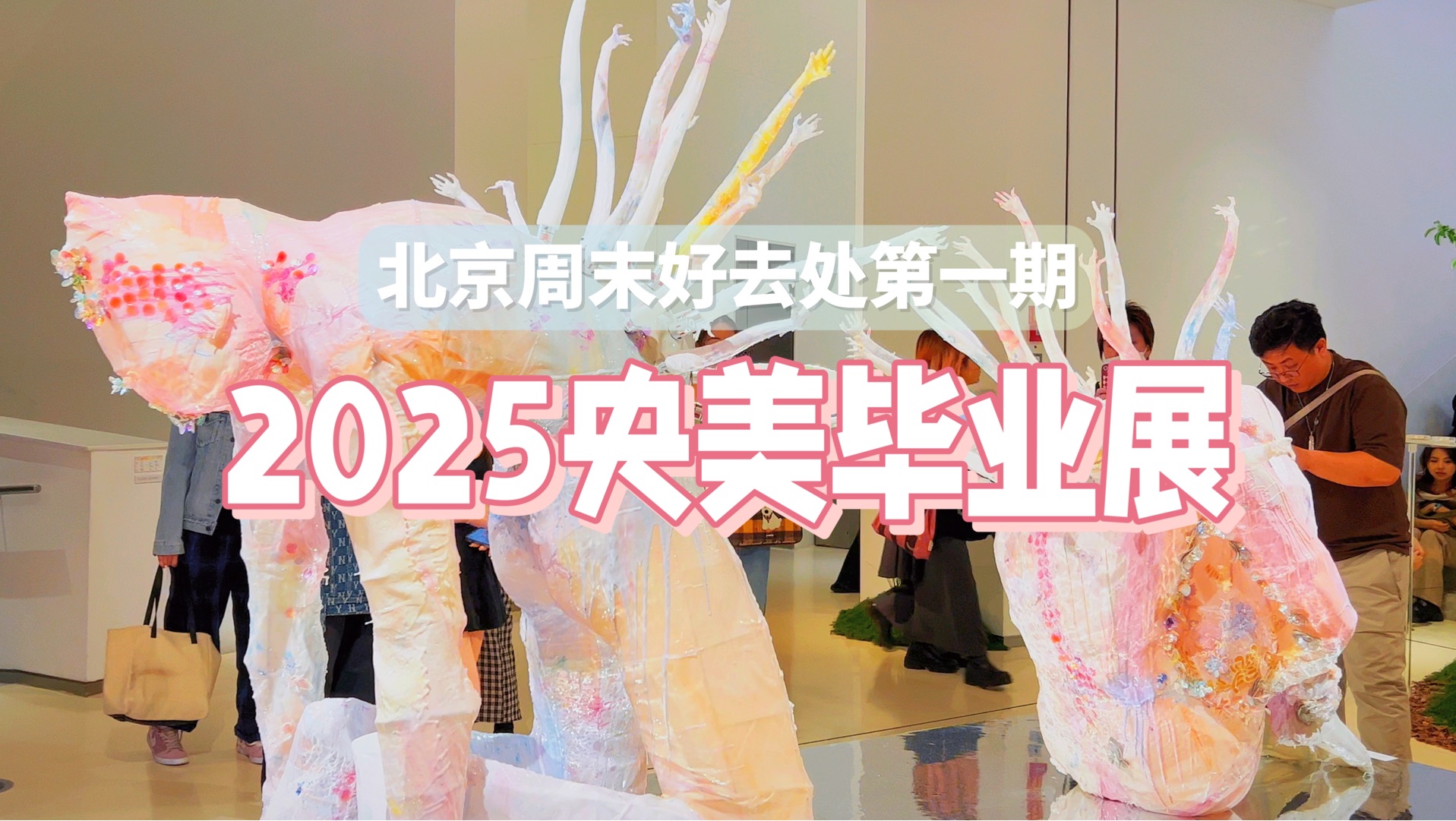 2025央美毕业展全攻略!一年一度必打卡!北京周末好去处～