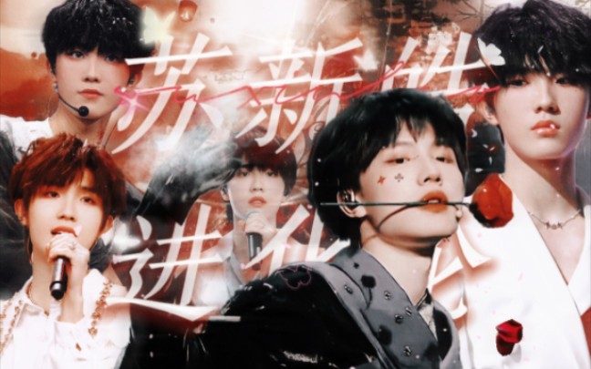 【苏新皓】当我用“无限流通关游戏”的方式打开TF家族进化论