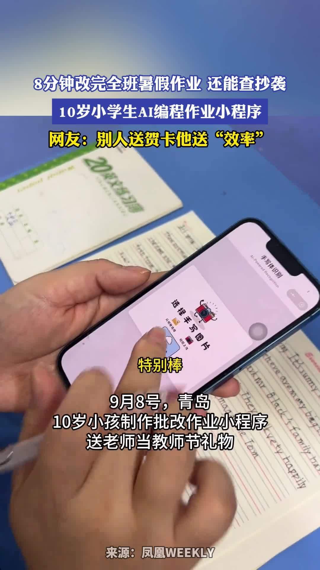 8分钟改完全班暑假作业 还能查抄袭,10岁学生自编作业小程序