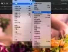 PS 2019 基础教程(二):图像缩放工具