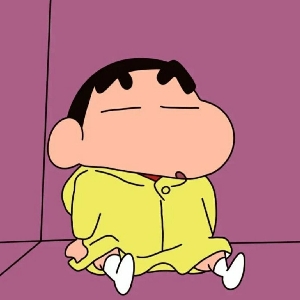我的世界-羽翼 