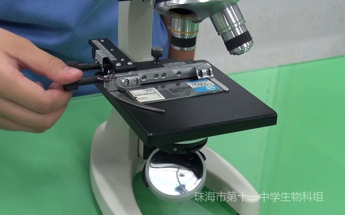 练习使用显微镜