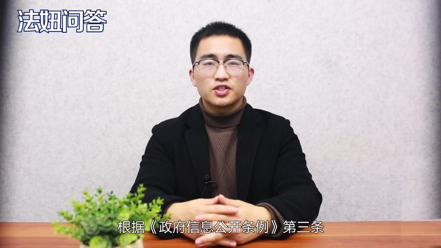 关于政府信息公开时限及申请的条例解释