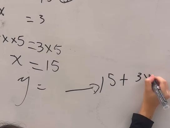 禾禾讲分数二元一次方程组