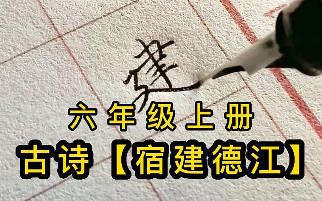 六年级上册古诗《宿建德江》硬笔书写,一边学古诗,一边学书法