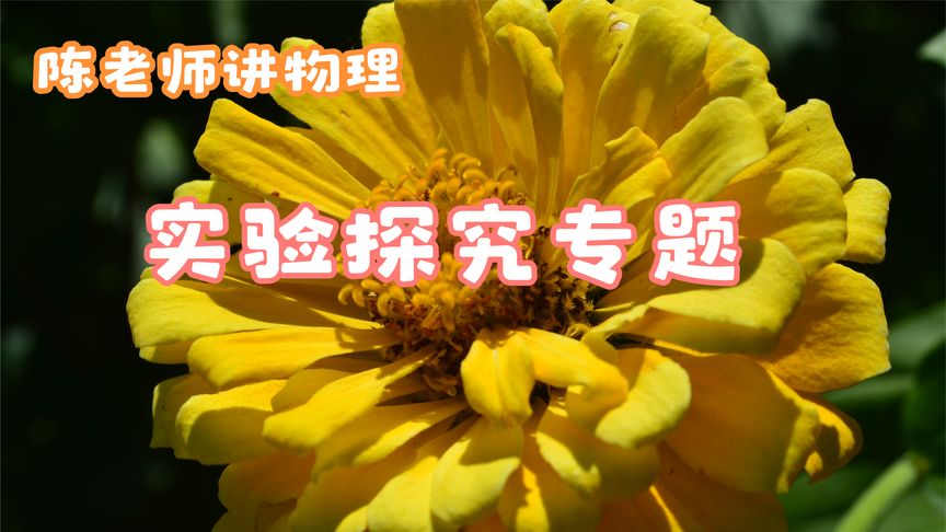 中考物理复习实验探究之欧姆定律2