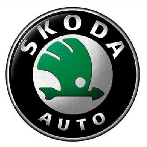 李俊浩SKODA 