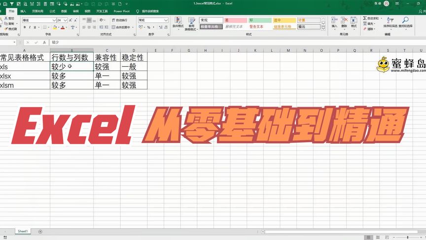 Excel从入门到精通 1.3常见表格格式