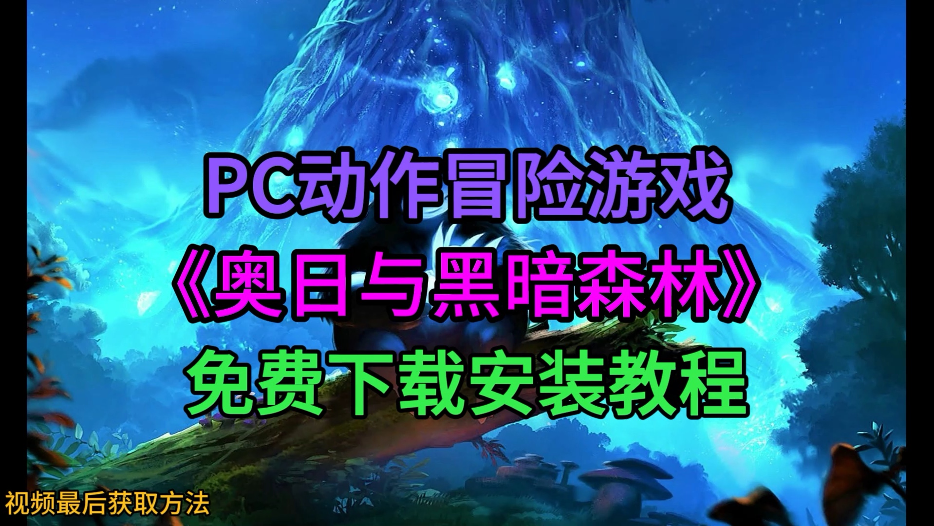 PC动作冒险游戏《奥日与黑暗森林》免费下载安装教程#奥日与黑暗...