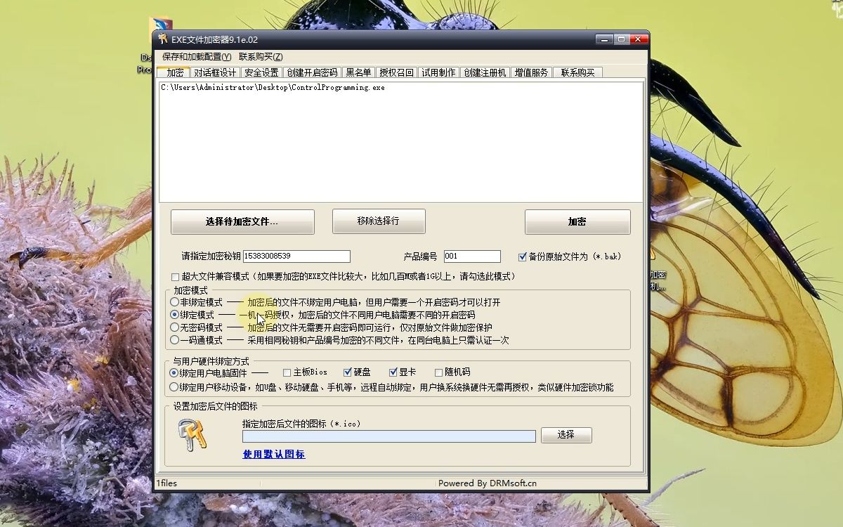 最简单的EXE软件一机一码加密软件