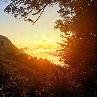 真原拓海 