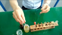 实验五:探究水果中是否含有维生素C