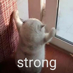 小愣愣愣愣愣愣愣 