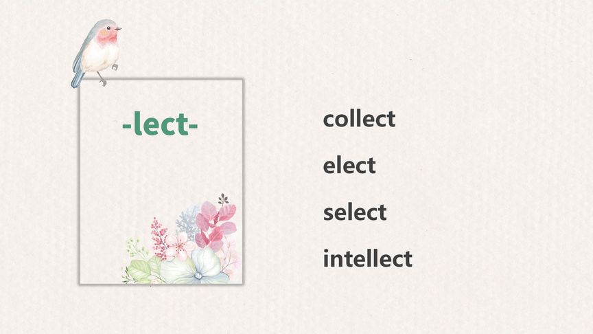 大家一起背单词 从collect说起