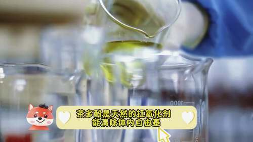 304.绿茶功效