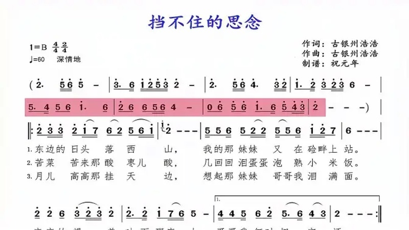 好听的二胡独奏曲《挡不住的思念》,看有声动态谱聆听