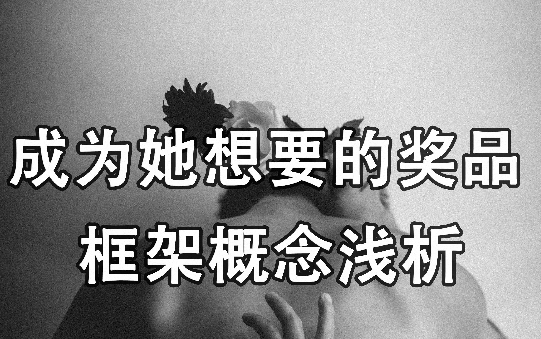 成为她想要的奖品,框架概念浅析