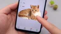 教你在手机里设置一只猫,有人动你微信,秒就出来喵喵叫,太萌了