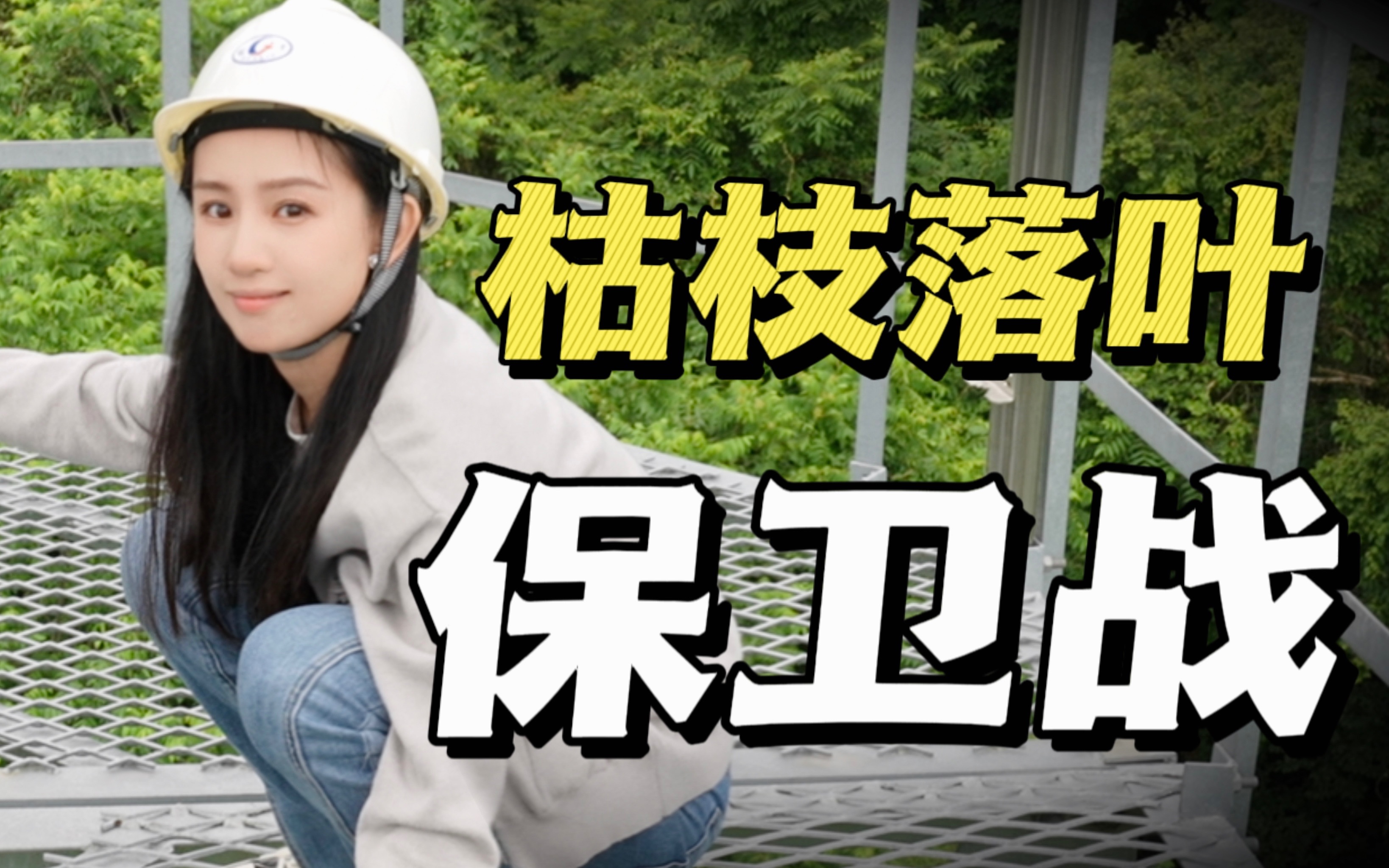 外国抢着来买我们的枯枝落叶?中国科学院科学家表示“禁止出口”!