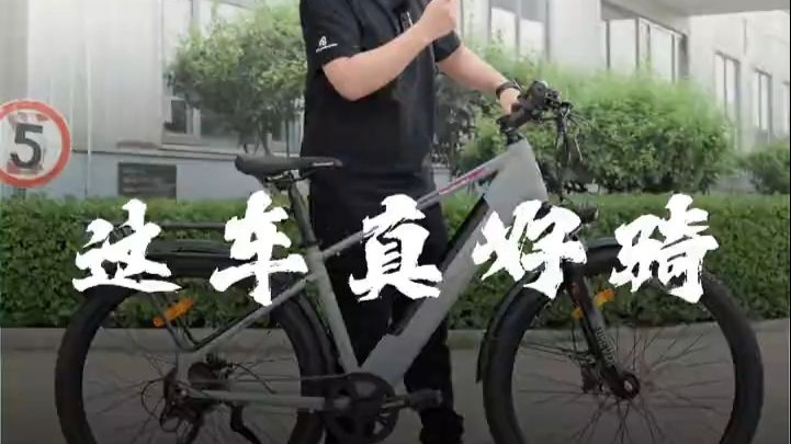 永久(FOREVER)电动电助力自行车成人超长续航可拆卸锂电池男女士...