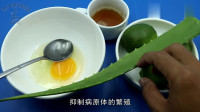 家里有芦荟的,告诉你芦荟的家常美容吃法,长见识了