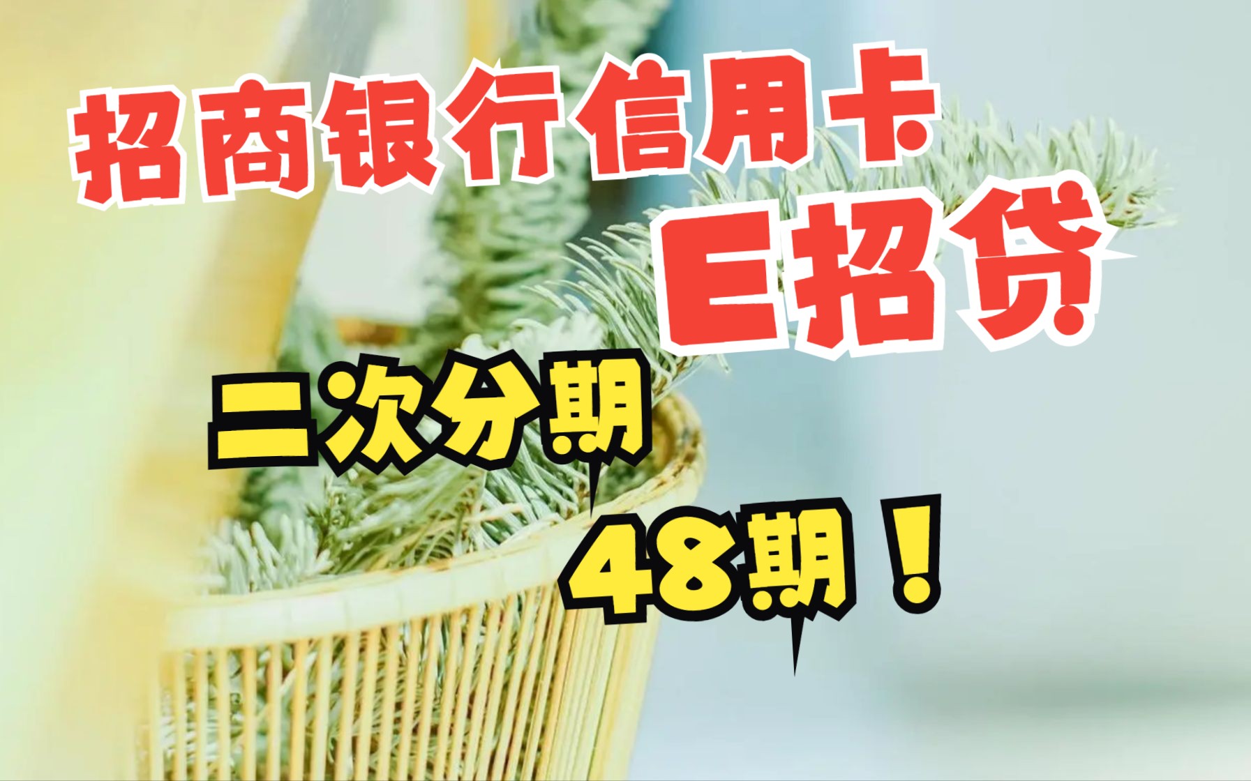 招商银行信用卡逾期后二次分期加E招贷同步协商48期