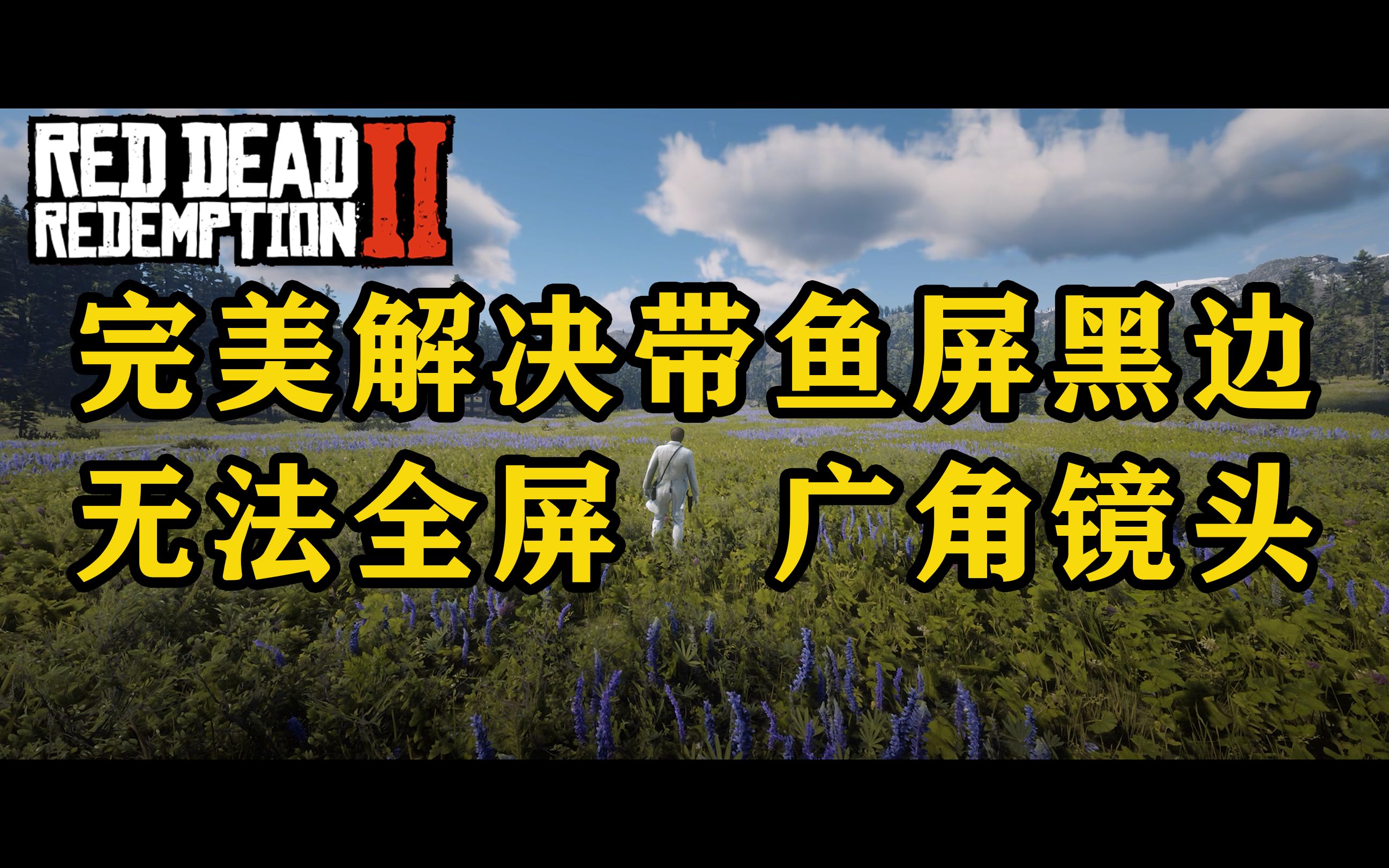 【荒野大镖客2】稀有货!超强带鱼屏MOD!无黑边!广角镜头!画质MOD!