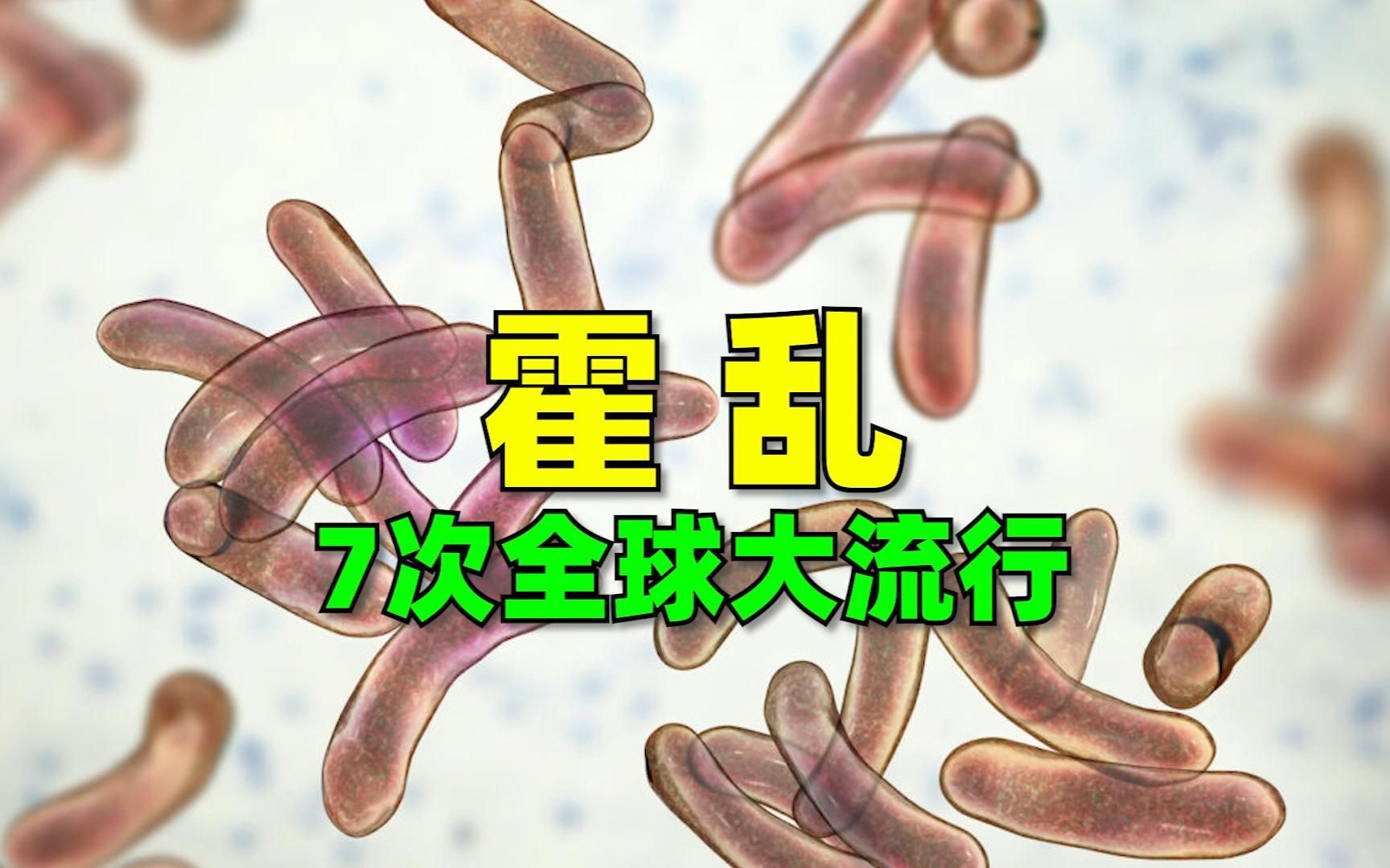 霍乱“7次全球大流行”都发生在什么时候?应该怎么预防霍乱?