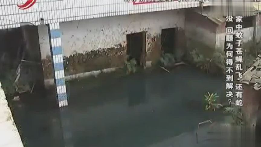 公园修建规划设计出错,二十多户村民沉浸污水5年,蛇虫肆意走动
