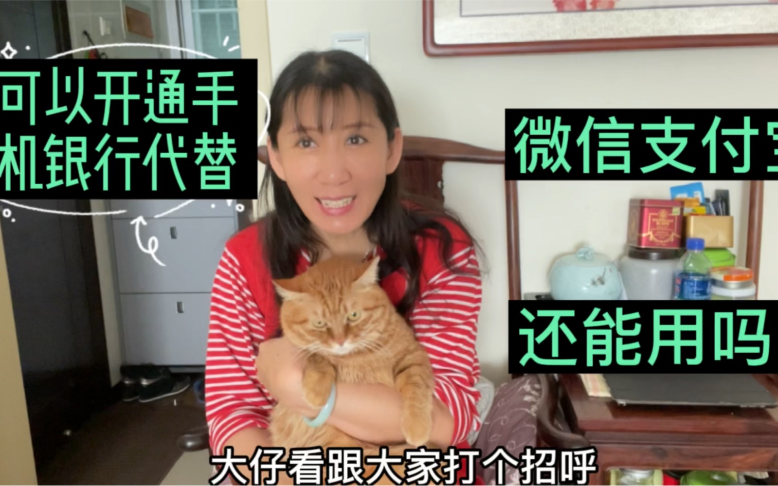还有一种方式能像微信支付宝一样扫码支付,安全可靠猫妈告诉大家!