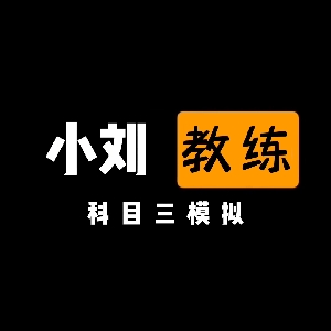 小刘科目三教练 
