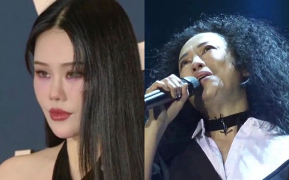 第二届歌手世界杯小组赛E组第2轮黄绮珊击败袁娅维送其对阵牛姐(...