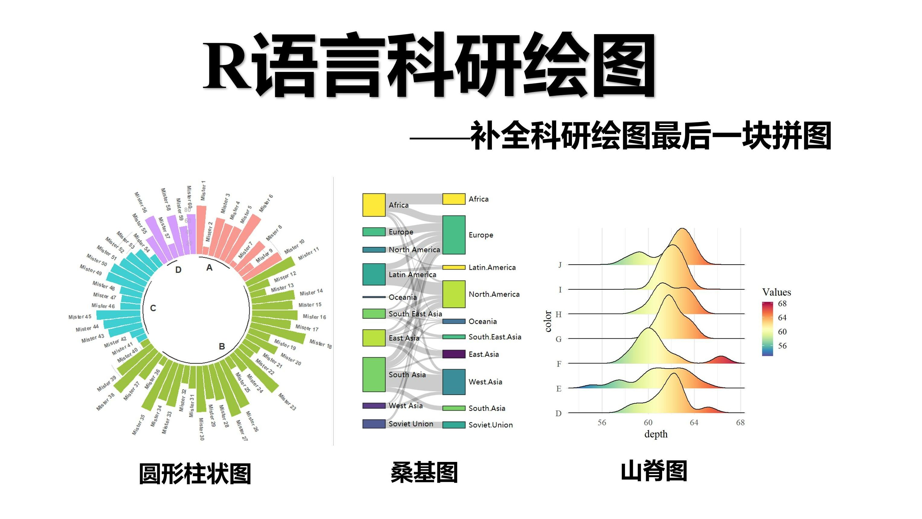 【R语言科研绘图】一个视频教你速通R语言绘图(含代码网站)