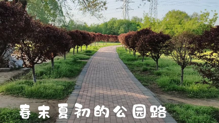 再走公园路,现在的感觉与以前来的感觉完全不同,生活需要美化
