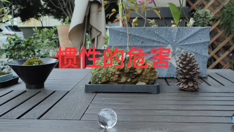 惯性的危害,生活中的惯性