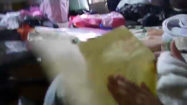 青青参加高安路小学运动会的体会:我运动 ,我健康,我快乐!
