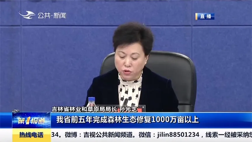 十年绘就绿美吉林!吉林省将用十年时间推进大规模国土绿化行动