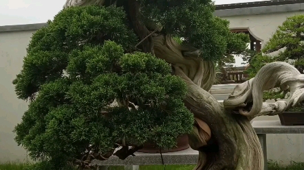 靖边地下室内防水靖边屋面渗漏治理预算横山地下渗漏治理横山设备...