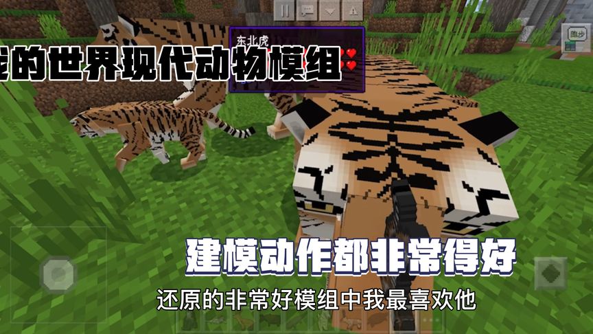 我的世界现代动物模组建模和动作都一级棒简直太帅了