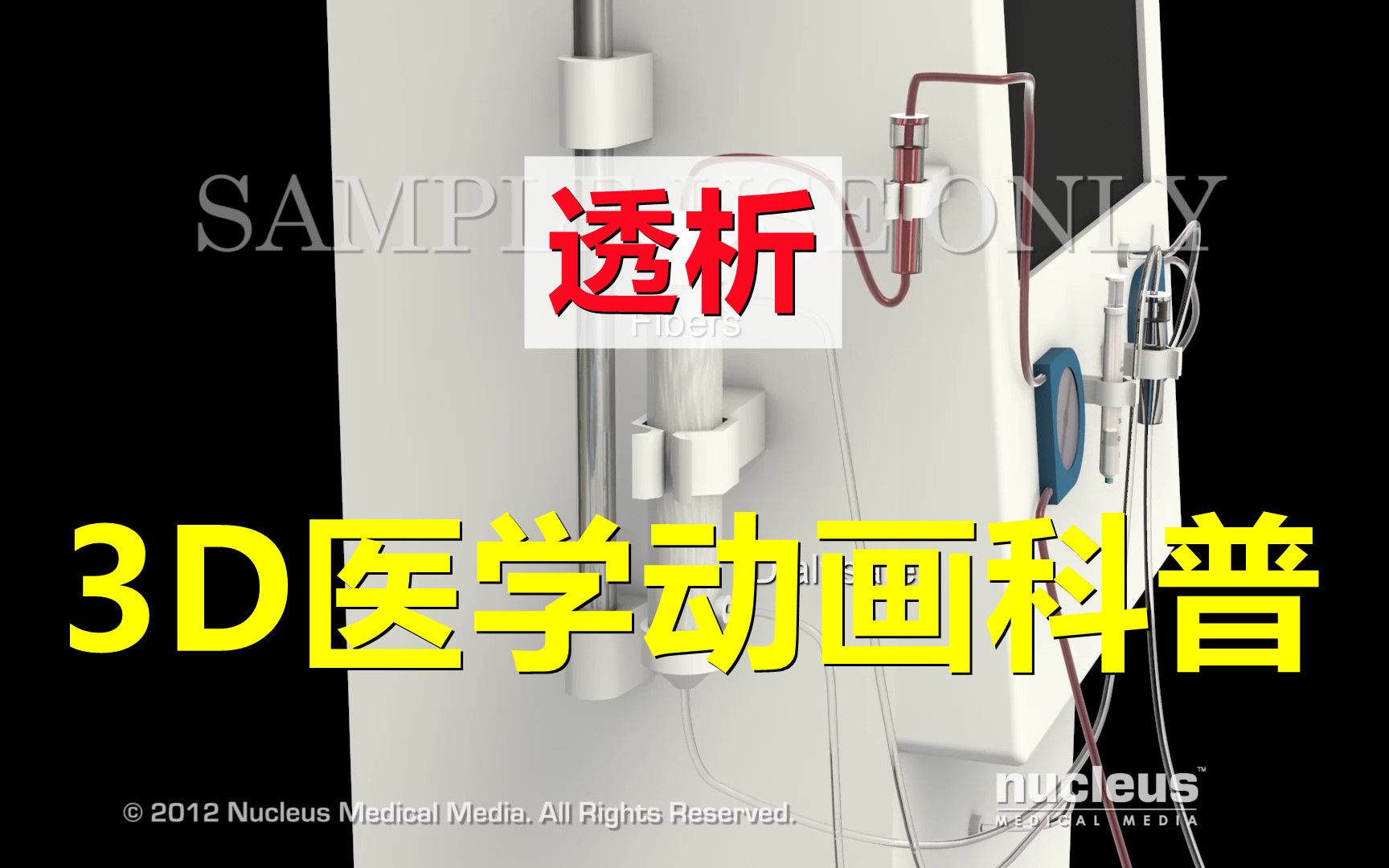 【3D医学动画科普】透析(中英双语字幕)