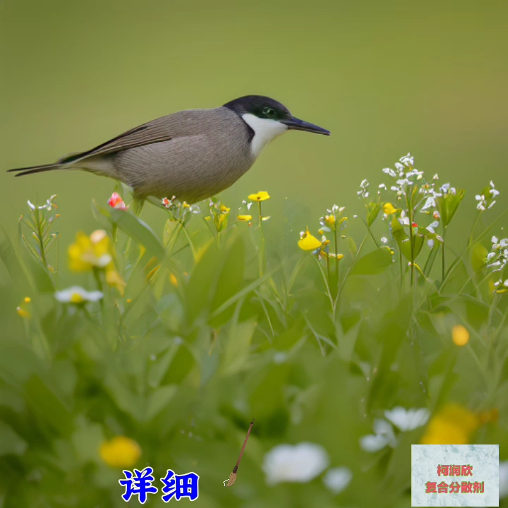 复合分散剂怎么使用?分散不好怎么解决?母料怎么降成本?