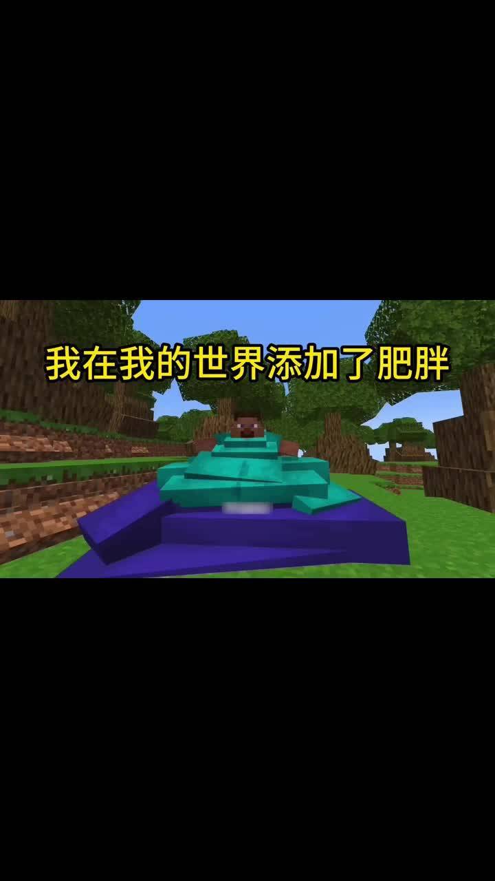 我在我的世界中添加了肥胖