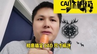 CAD大神技巧,不需要任何标注插件,也能一键标注CAD各种尺寸啦!