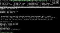 Apache服务器综合设置之二a
