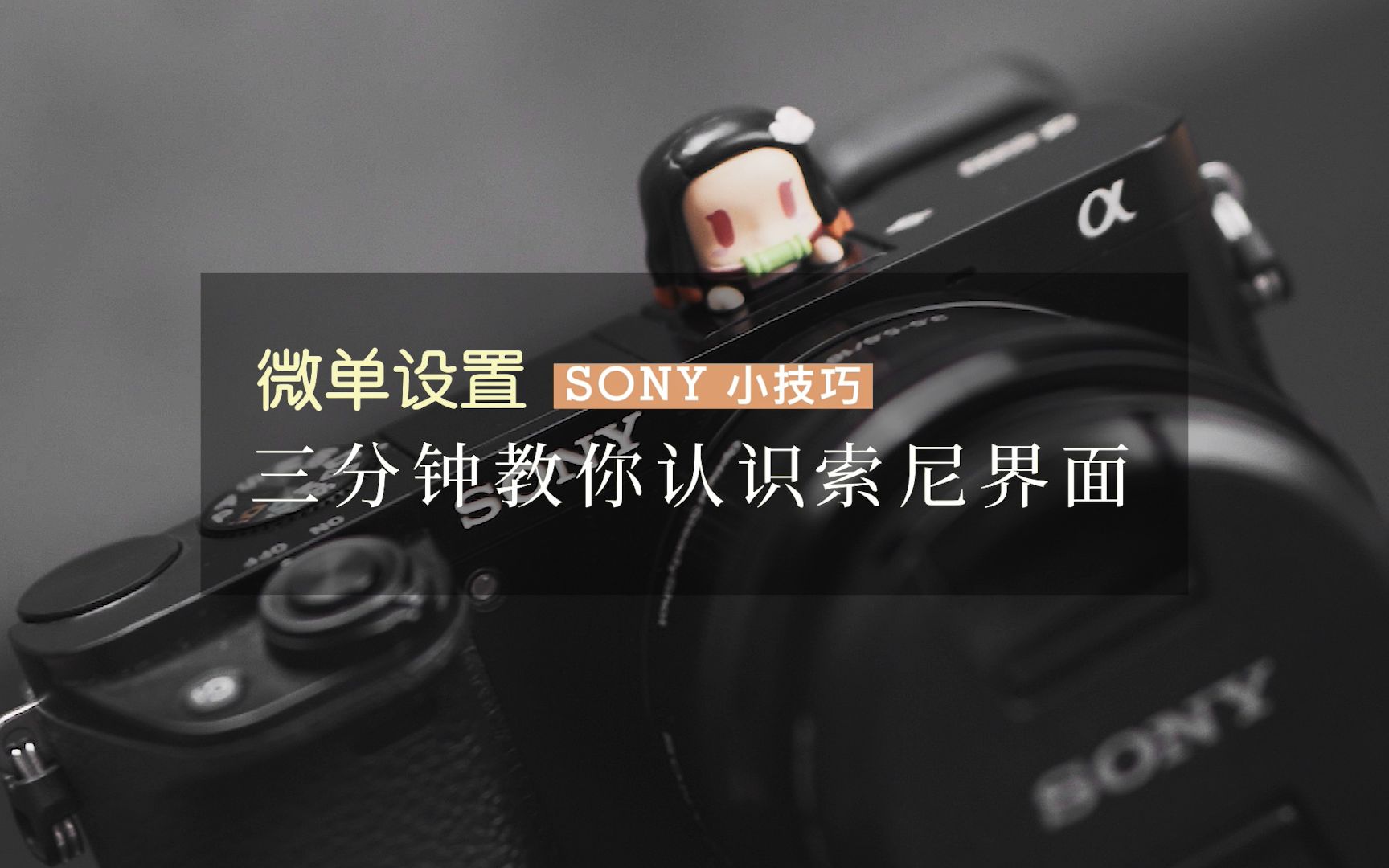 索尼A6000教程 | 扔掉说明书,挑战三分钟教会你认识索尼微单界面【...